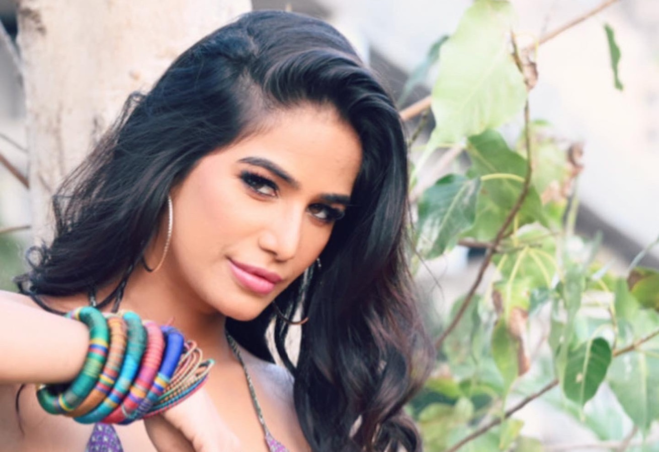 Poonam Pandey Biography: List of 8 Poonam Pandey Movies